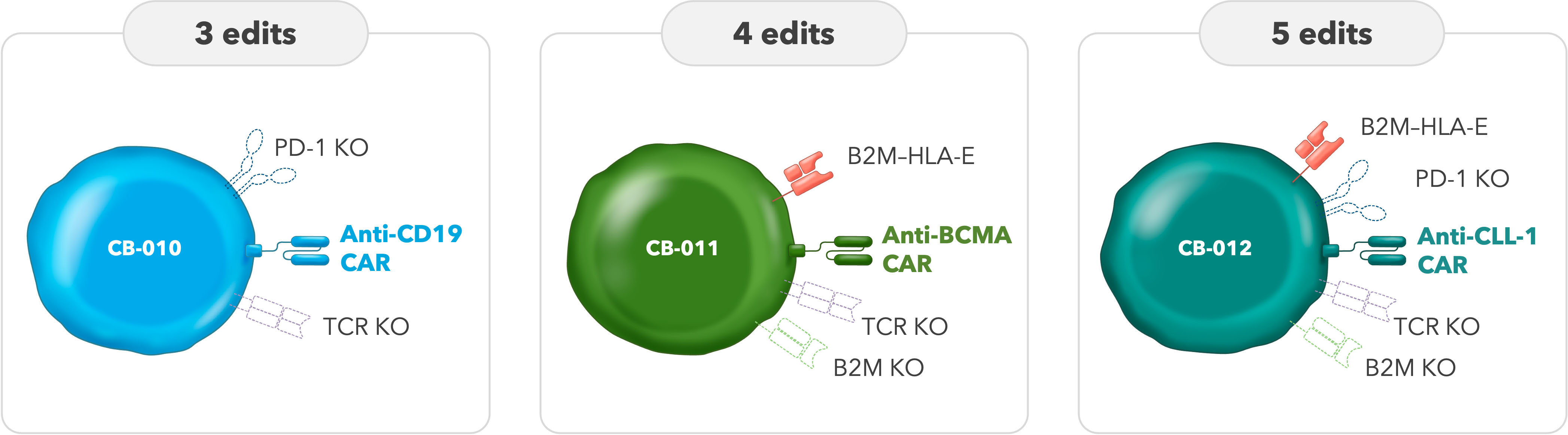 Allogeneic T cells and NK cells | chRDNAs | Caribou Biosciences